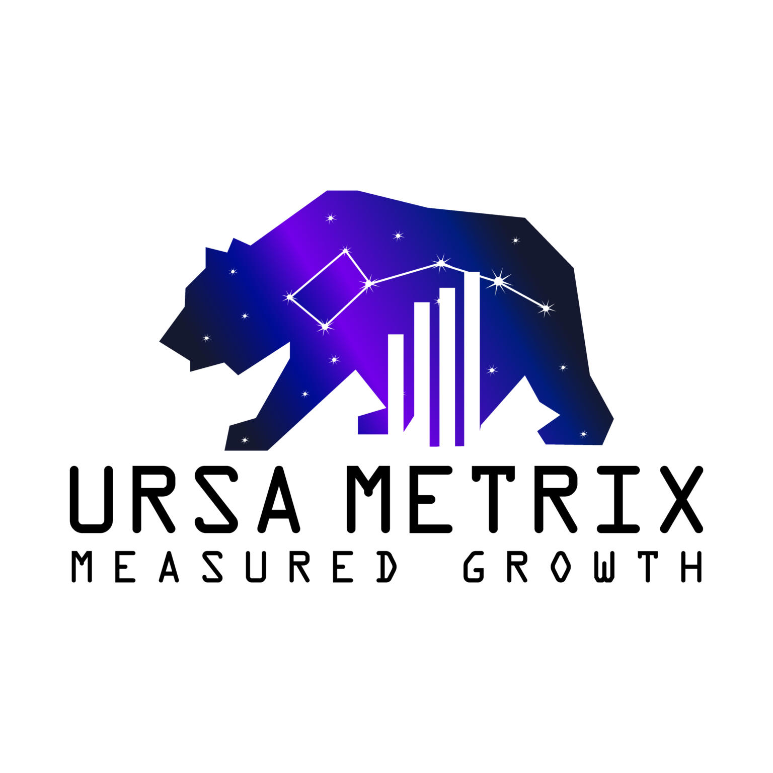 website-hosting-ursa-metrix
